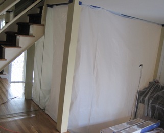 Mold Remediation Step-By-Step Guide