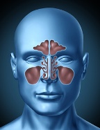 Sinus Congestion From Mold Exposure .....Causes, Treatment, Eliminating ...